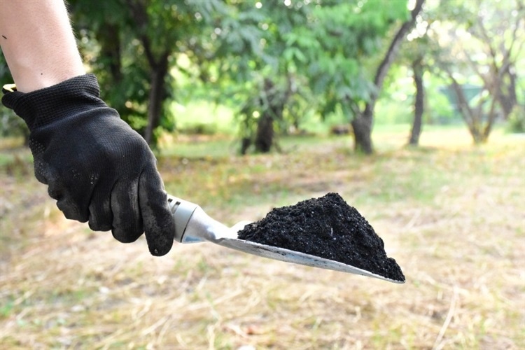 Modified Biochar Boosts Cement Composite Strength